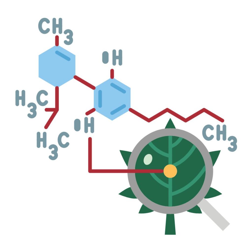 Comprehensive IB Chemistry SL & HL Syllabus | TYCHR