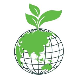 Comprehensive IB Geography SL & HL Syllabus | TYCHR