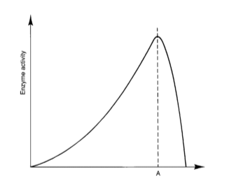 Ace IB Biology SL Paper 1 | Question Bank | Tychr
