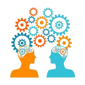 Comprehensive IB Psychology SL & HL Syllabus | TYCHR