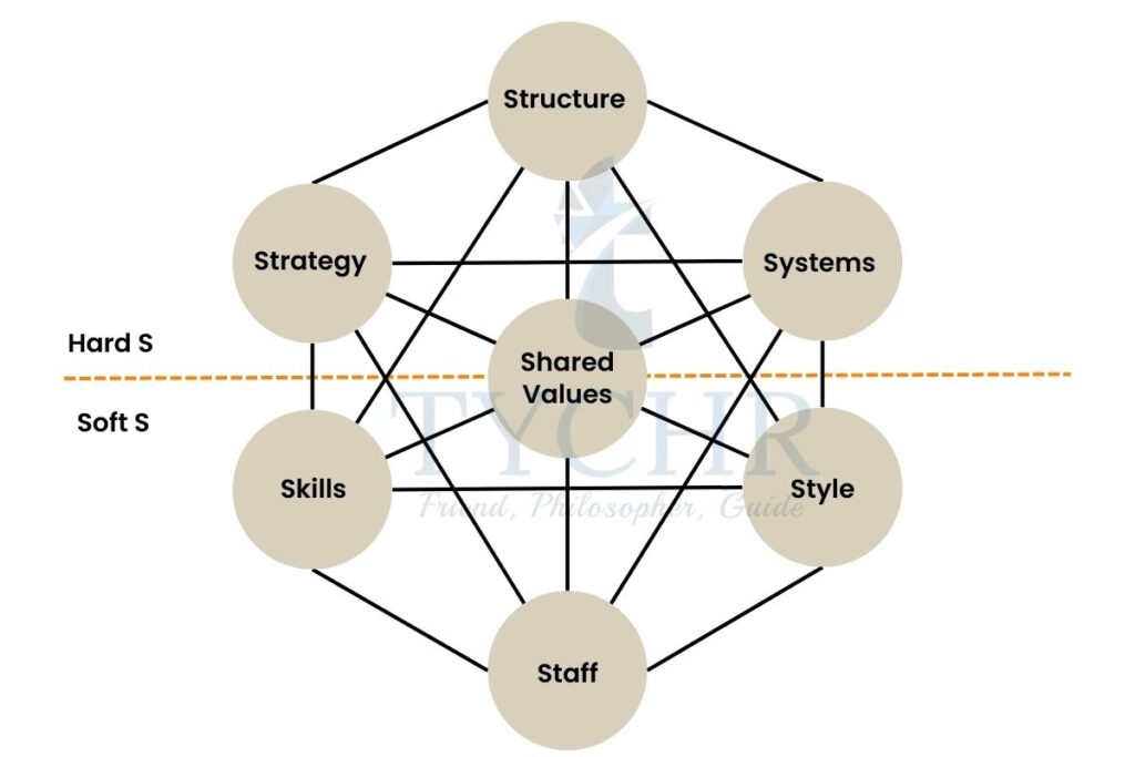 IBDP Business Management & Human Resources Chapter 2 Notes | Tychr