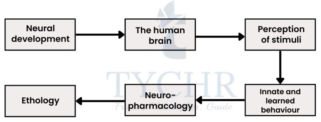 IB Biology | Neurobiology and Behaviour Notes | TYCHR