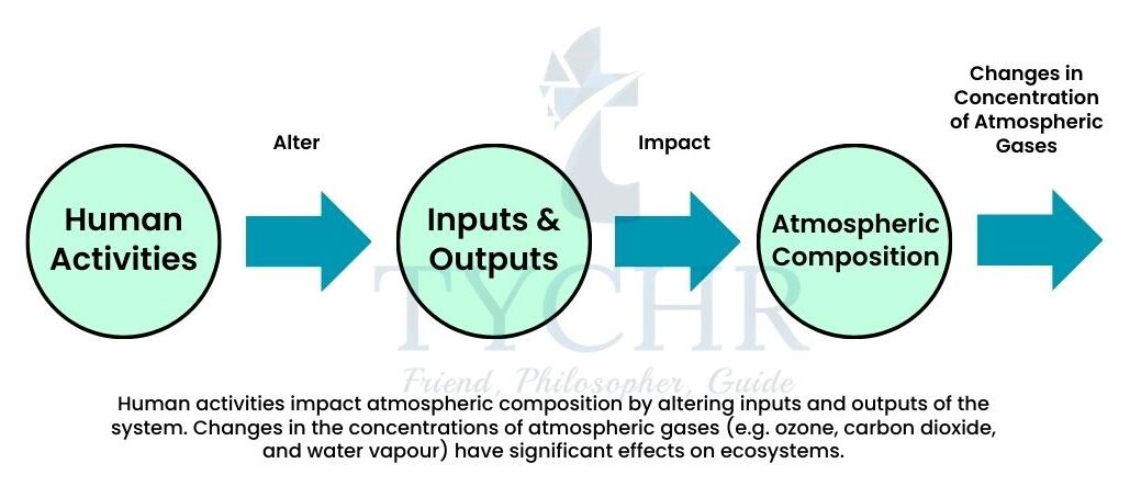IBDP ESS Solutions Chapter 6 Notes | Tychr