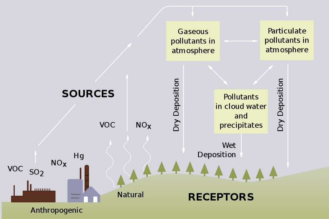 IBDP ESS Solutions Chapter 6 Notes | Tychr