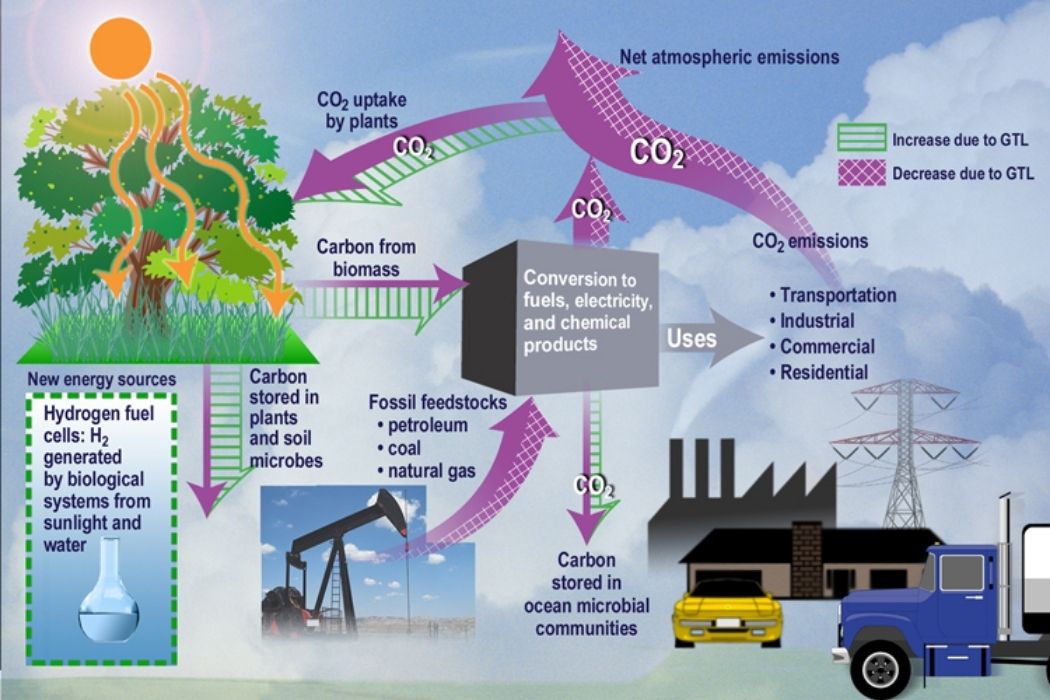 IBDP ESS Solutions Chapter 6 Notes | Tychr