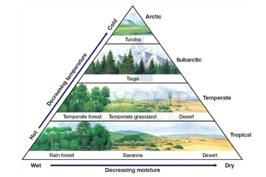 IBDP ESS Chapter 2 Solutions Notes | Tychr
