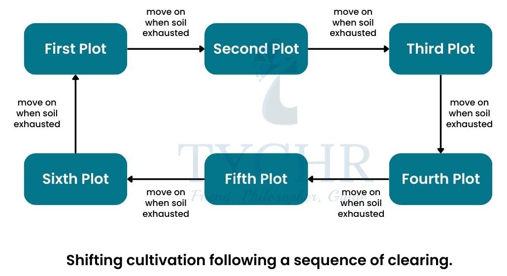 IB ESS | Soil Systems, Terrestrial Food Production Systems and ...