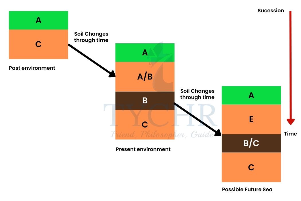 IBDP ESS Solutions Chapter 5 Notes | Tychr