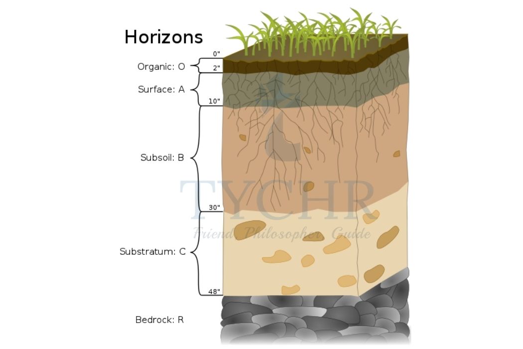 IBDP ESS Solutions Chapter 5 Notes | Tychr