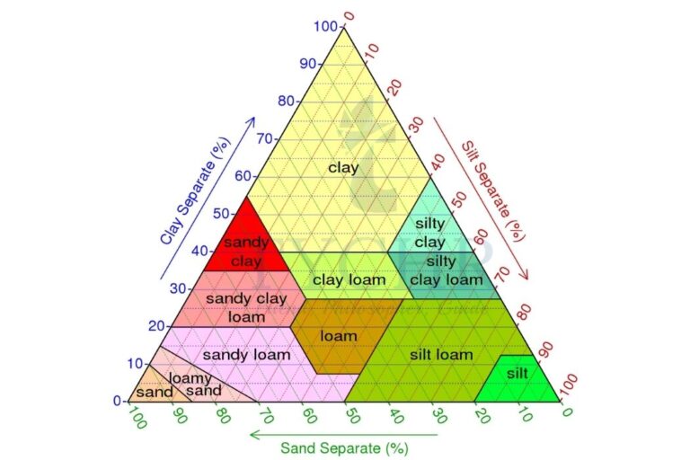 IBDP ESS Solutions Chapter 5 Notes | Tychr