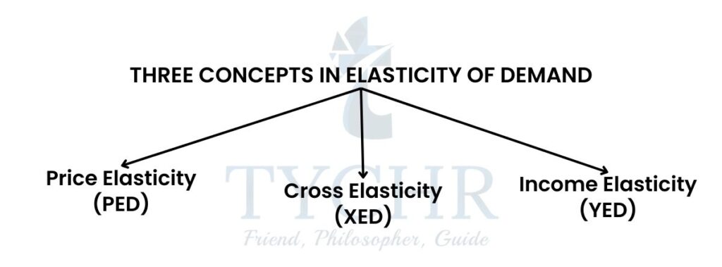 Elasticities | Chosen IBDP Economics Notes | Tychr
