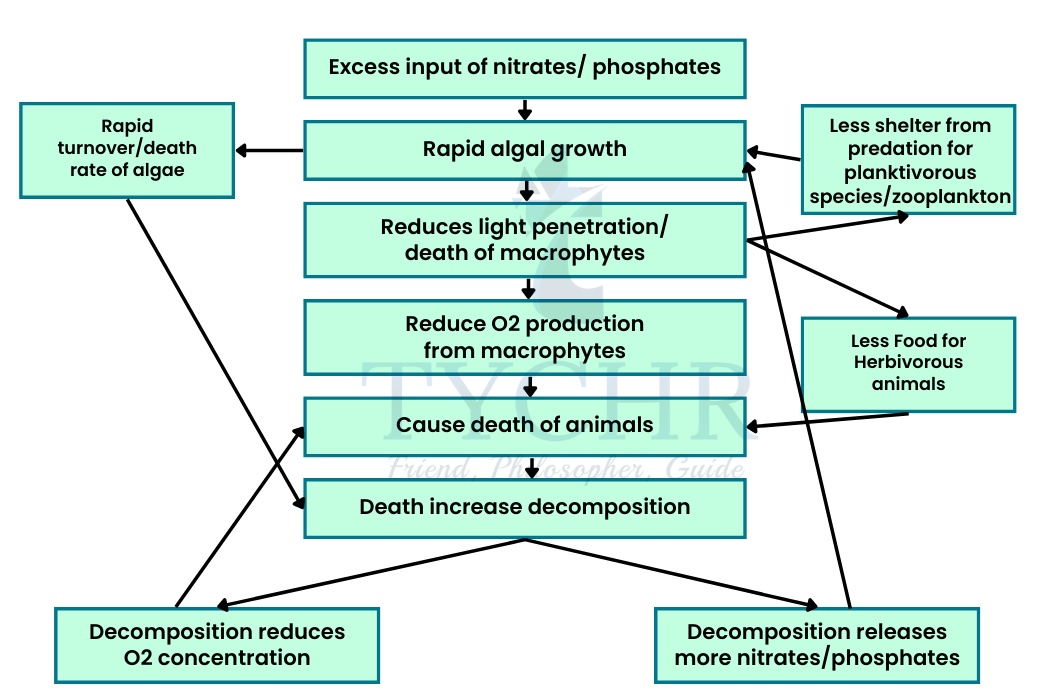 Fundamentals of ESS | IBDP ESS Solutions Chapter 1 | Tychr