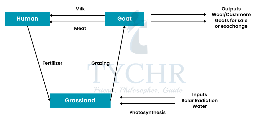 Fundamentals of ESS | IBDP ESS Solutions Chapter 1 | Tychr