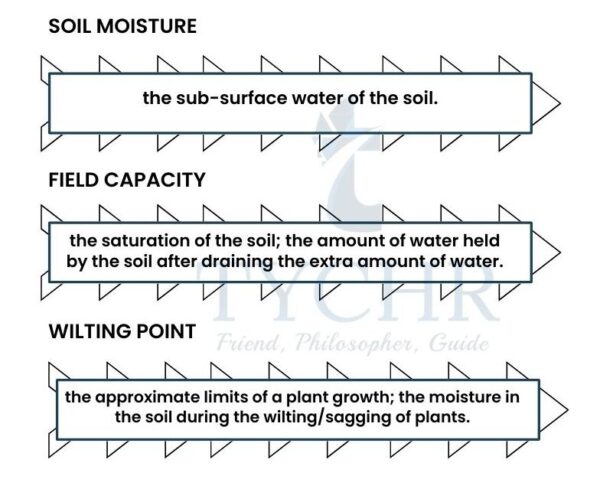 Drainage Basin Hydrology-IBDP Geography Notes | Tychr