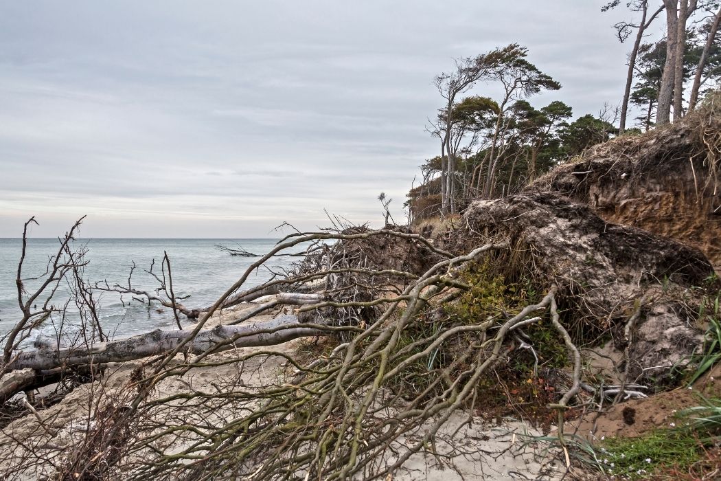 Drainage Basin Hydrology-IBDP Geography Notes | Tychr