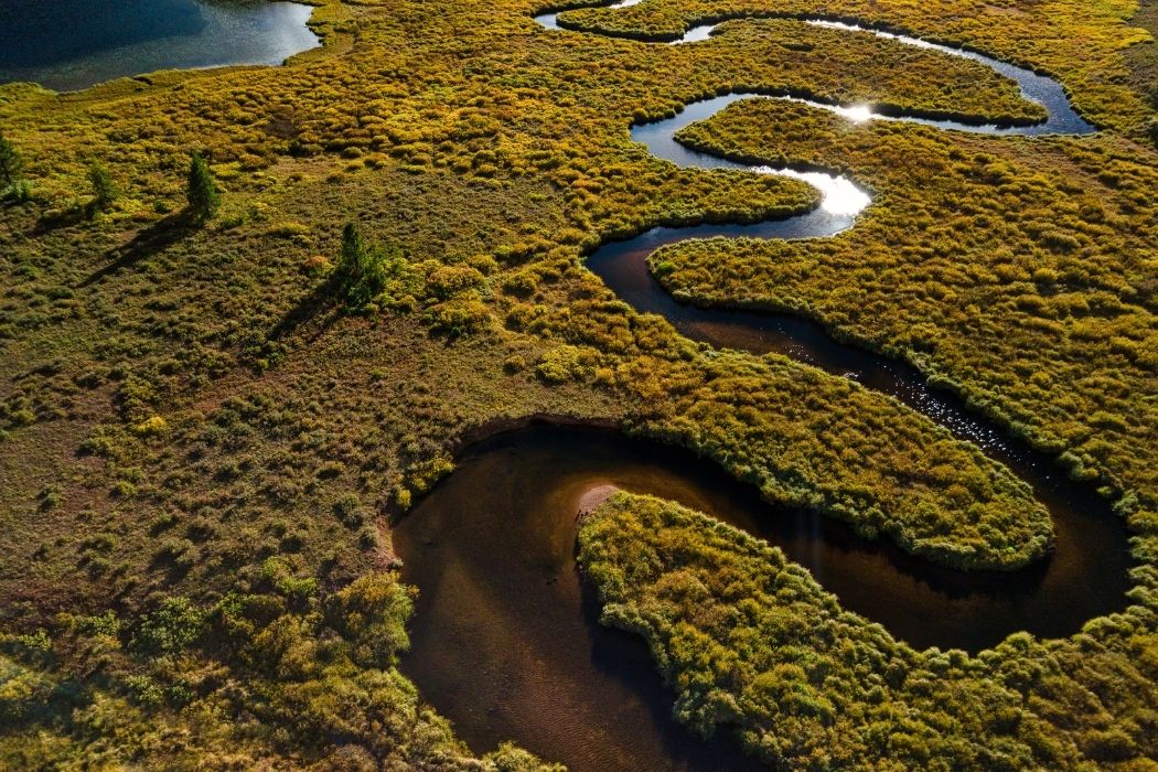 Drainage Basin Hydrology-IBDP Geography Notes | Tychr