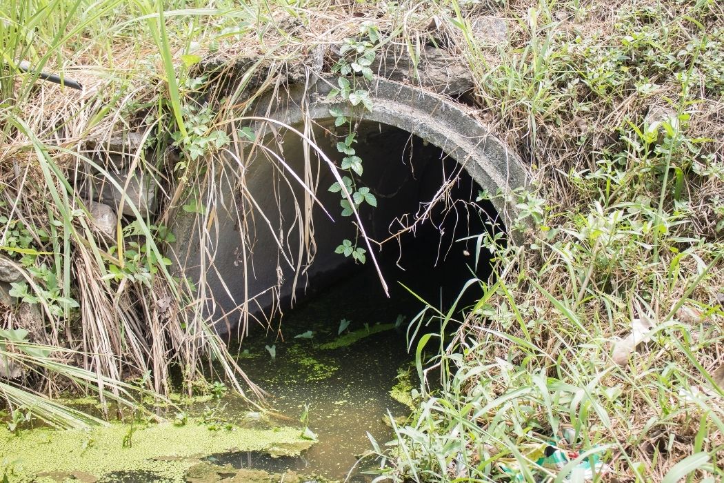 Drainage Basin Hydrology-IBDP Geography Notes | Tychr