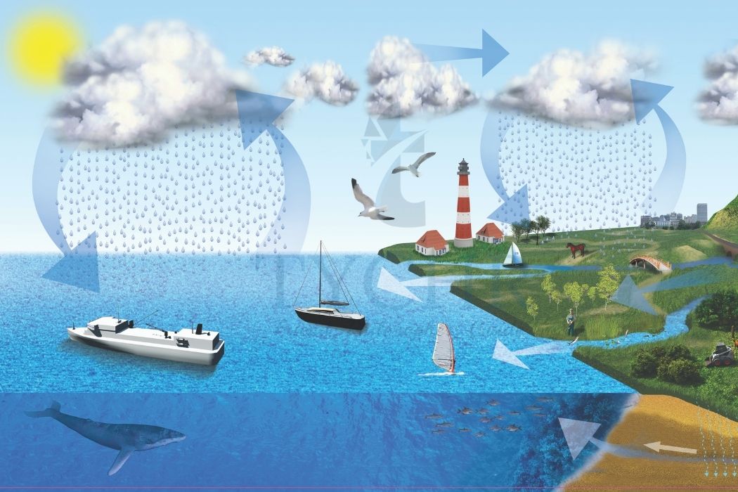 Drainage Basin Hydrology-IBDP Geography Notes | Tychr