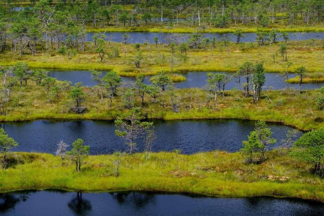 Drainage Basin Hydrology-IBDP Geography Notes | Tychr