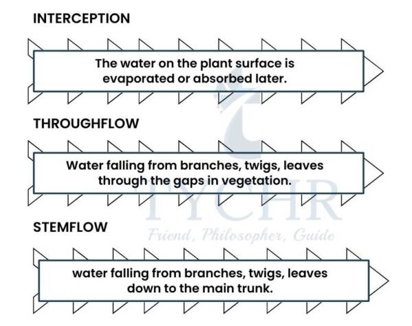 Drainage Basin Hydrology-IBDP Geography Notes | Tychr