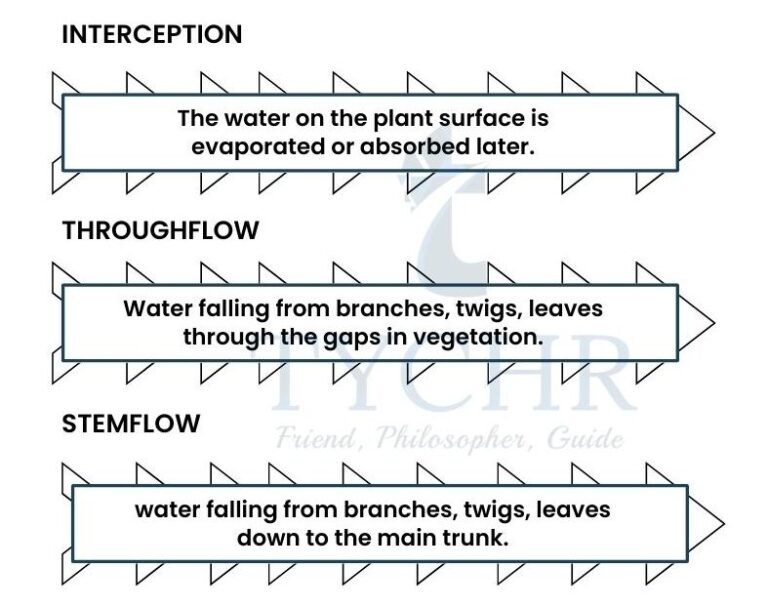 Drainage Basin Hydrology-IBDP Geography Notes | Tychr