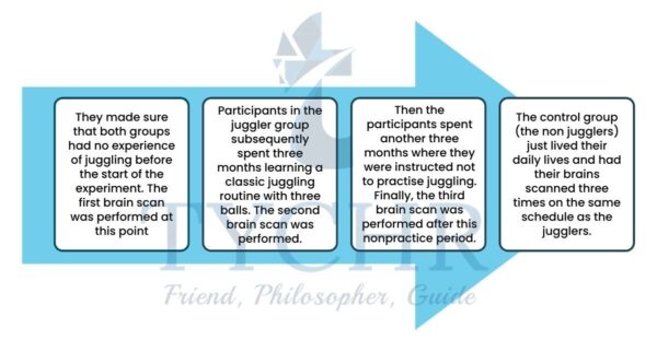 IBDP Psychology Chapter 2 Notes: Biological Approach to Behavior | Tychr