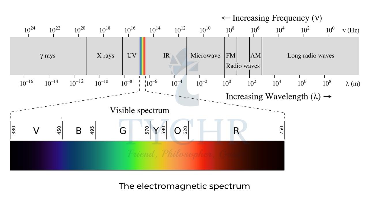 Measurement Data Processing Analysis-IBDP Sciences Chemistry Notes | Tychr