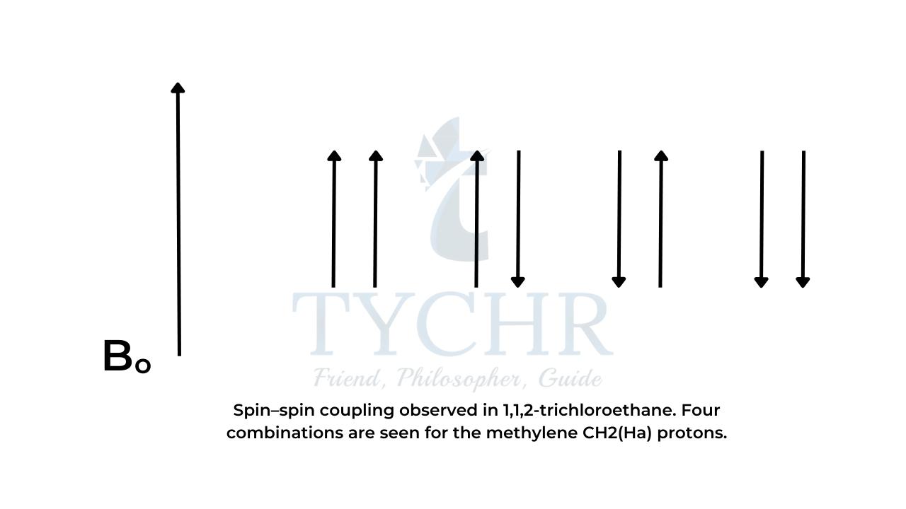 Measurement Data Processing Analysis-IBDP Sciences Chemistry Notes | Tychr