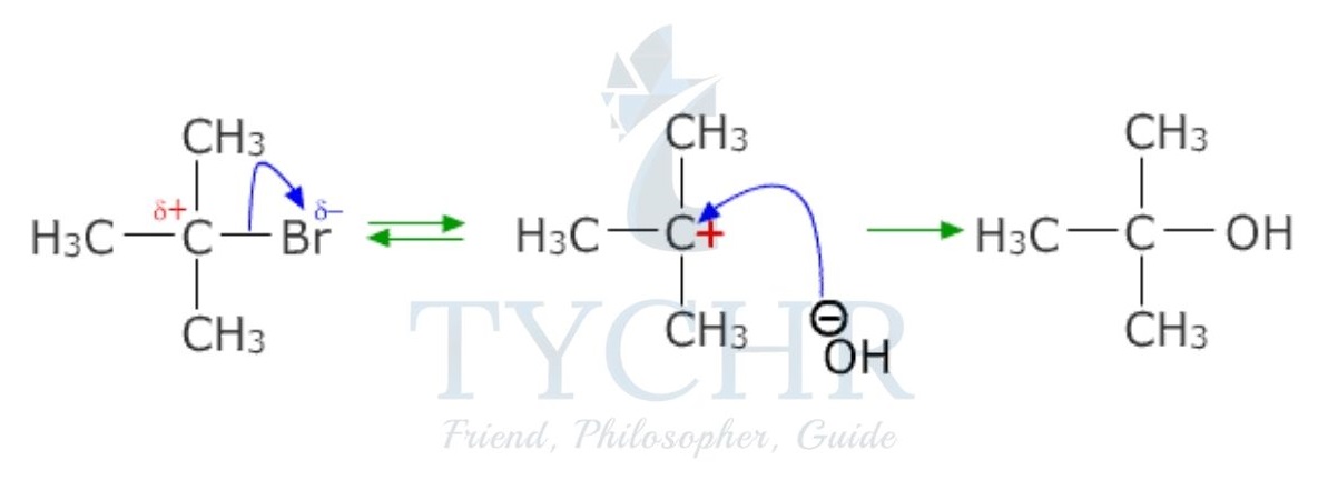 IBDP Sciences Chemistry Chapter 10 Notes | Tychr