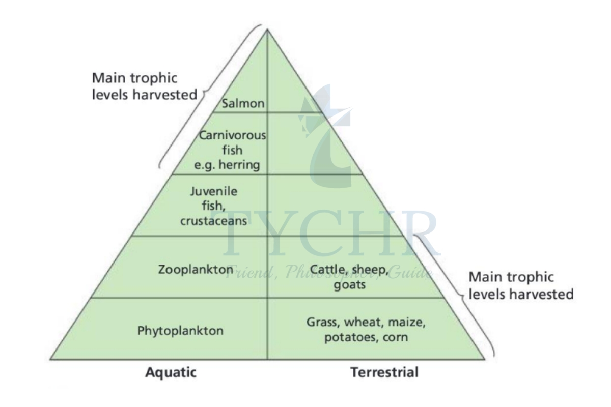 Unlock Chapter 4 Notes | Tychr: IBDP ESS Solutions