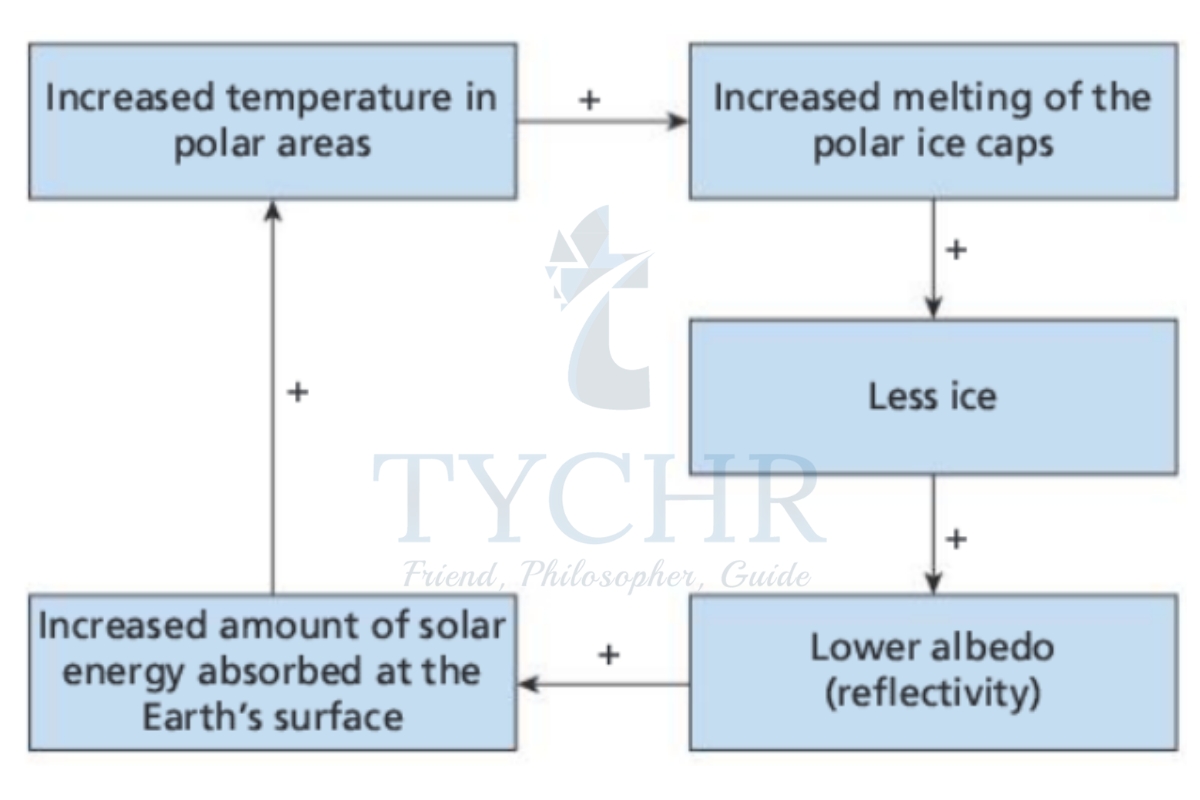 IB ESS | Climate Change & Energy Production Notes| TYCHR