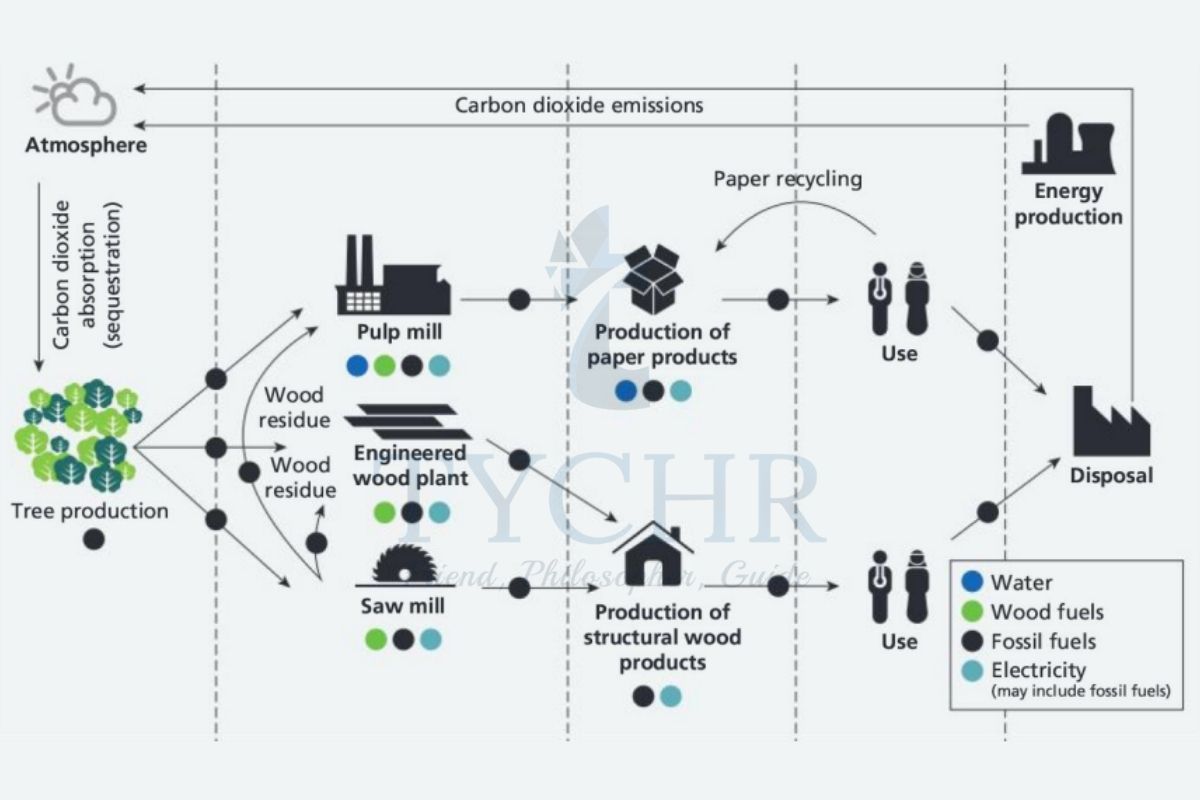 Human Systems And Resource Use-IBDP ESS Solutions Notes | Tychr