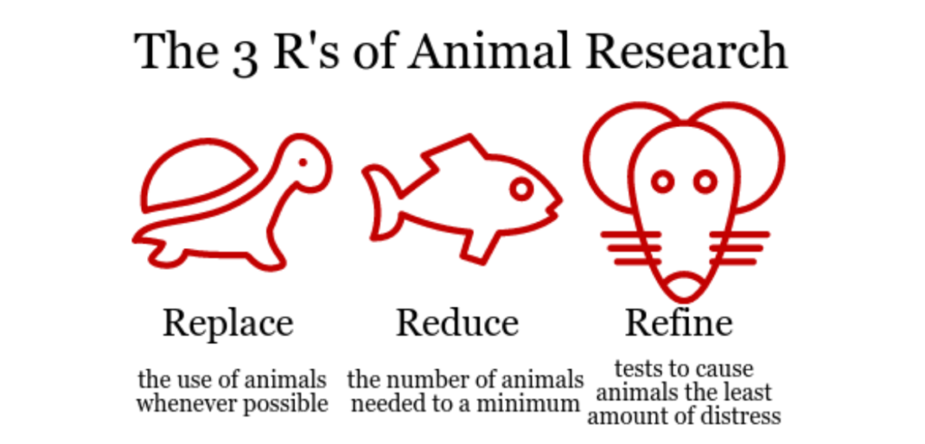 IBDP Psychology Chapter 2 Notes: Biological Approach to Behavior | Tychr
