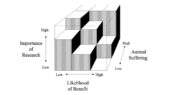 IBDP Psychology Chapter 2 Notes: Biological Approach to Behavior | Tychr