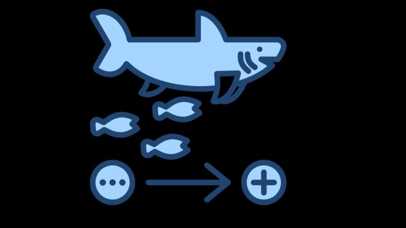 Commensalism Examples in Ecology: Symbiotic Relationships - TYCHR
